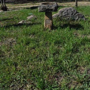 COSTER Marcus 1875-1934 | Co - Surnames starting with the letters Co ...